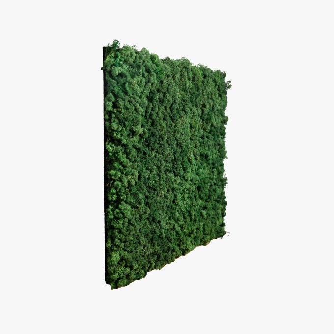 WoodUpp Mose panel moss green :: www.r-pod.no